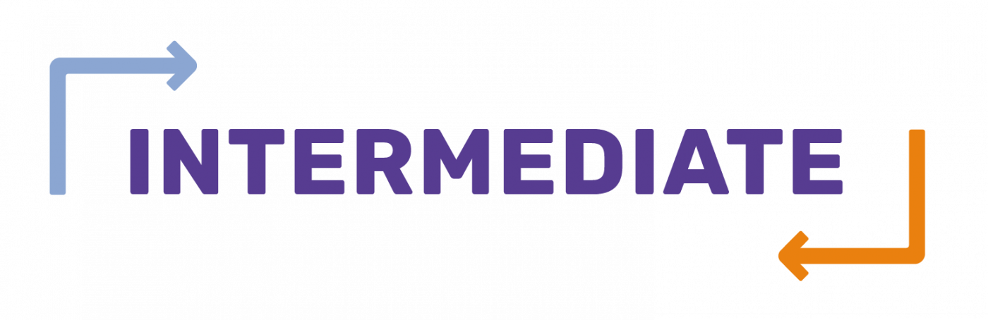 About INTERMEDIATE Interim Professionals
